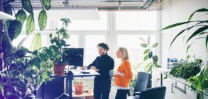 Nachhaltigkeitsmanager: Aufgaben, Ausbildung & Gehalt